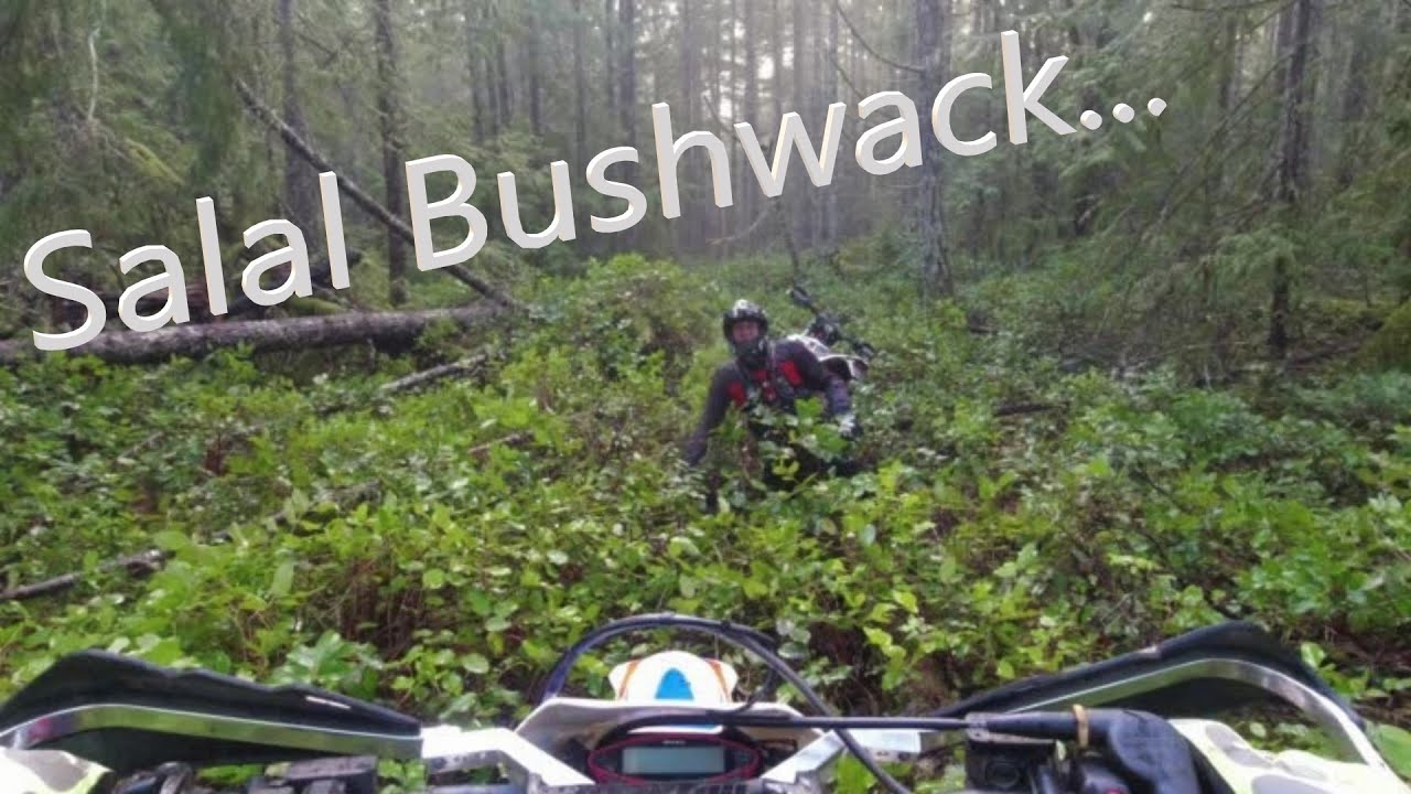Taking the Beta X-Trainers off trail. Bush-wack Session! - YouTube
