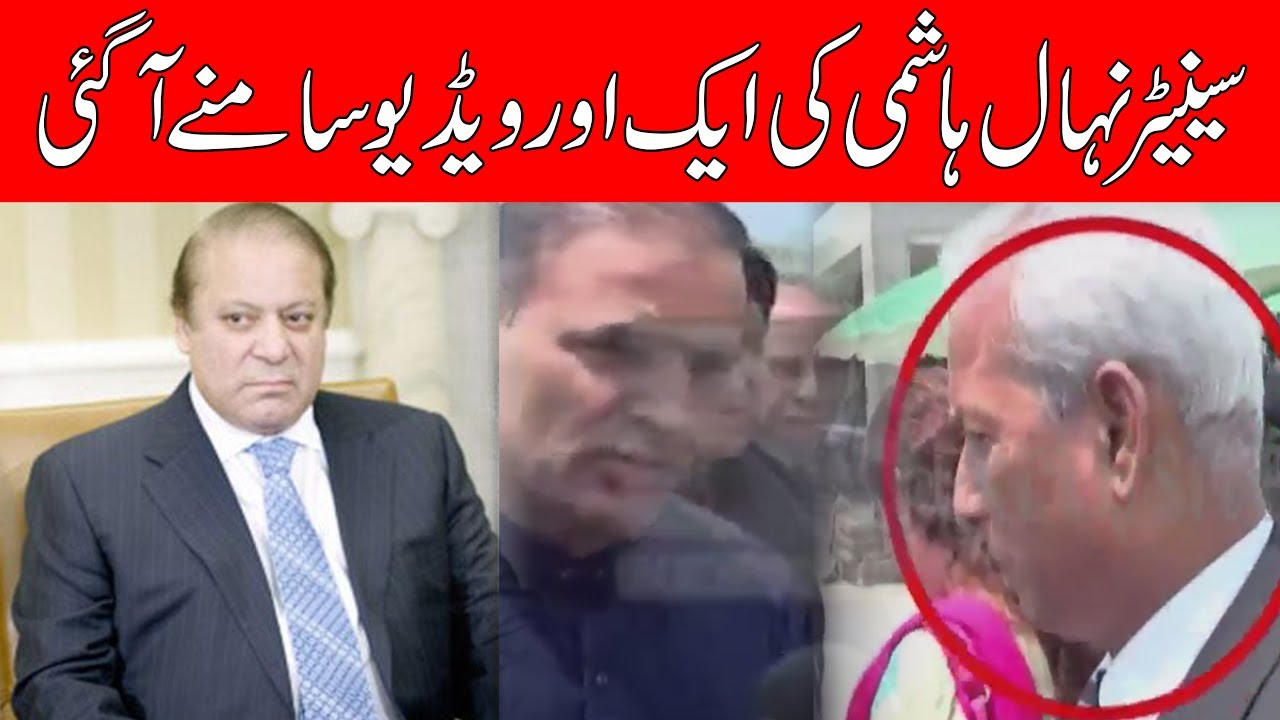 Another video of PML-N Senator Nehal Hashmi leaked | 24 News HD - YouTube