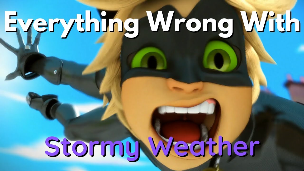 Wrong Weather Memes Amazon.com Please Stop Honking I Know I'm Doing