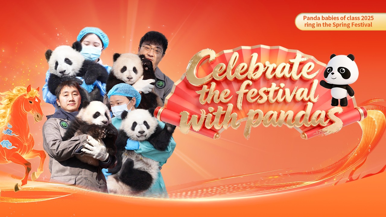 Broadcast: New Year Greeting Event From The Class Of 2025 Panda Cubs ...