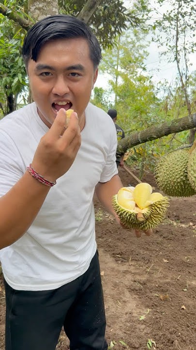 Bukak durian montong langsung di pohonnya #doniartawan - YouTube