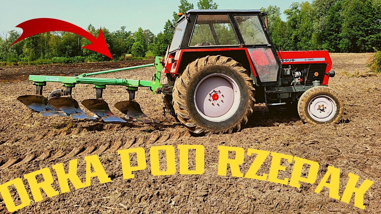Orka Pod Rzepak URSUS C 385 i PŁUG 4 Skibowy - YouTube
