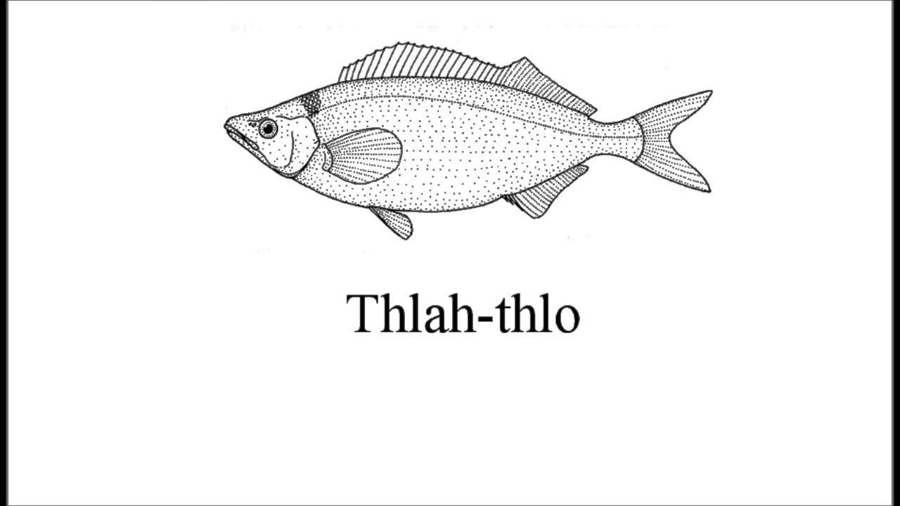 Mvskoke Muscogee language: Insects and reptiles. Week 1 (Pre-k class ...