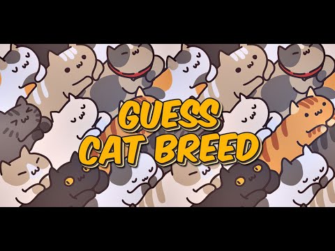 Guess the cat breed trivia game - YouTube
