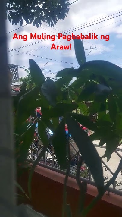 Ang Muling Pagbabalik ng Araw! - YouTube