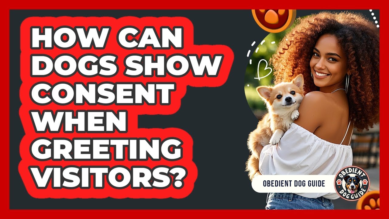 How Can Dogs Show Consent When Greeting Visitors? - Obedient Dog Guide ...