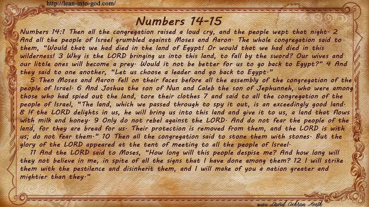 Numbers 14-15 - YouTube