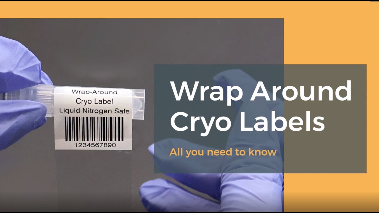 Wrap Around Labels Explained - YouTube