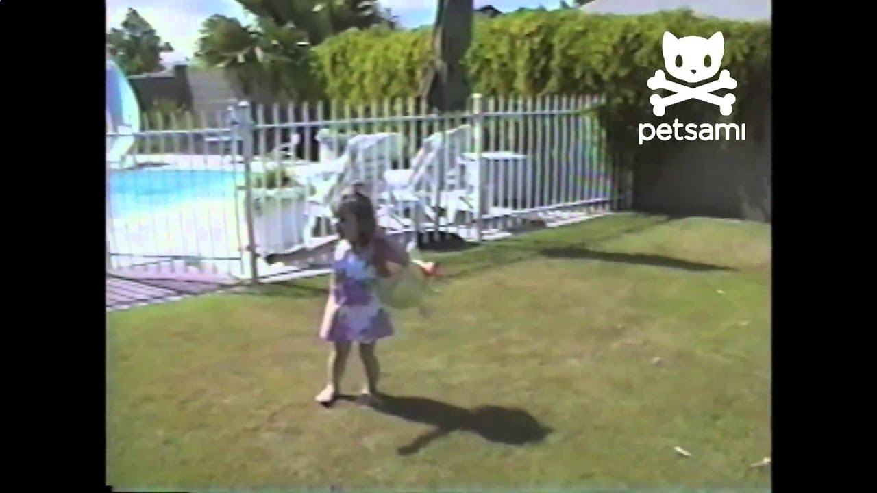 Little Girl Mistakes Dog's Poop For Easter Egg - YouTube