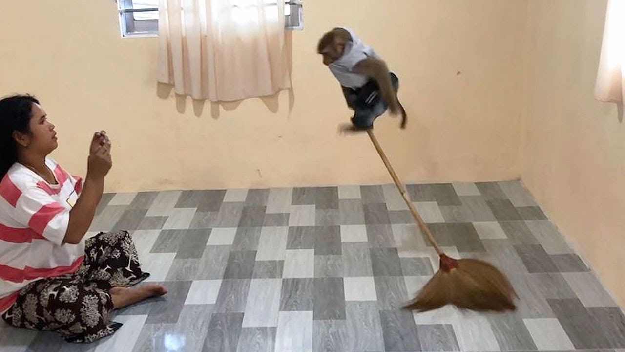 Hilarious Jason Vividly Practice Ride Broom To Clean Up Home Play ...