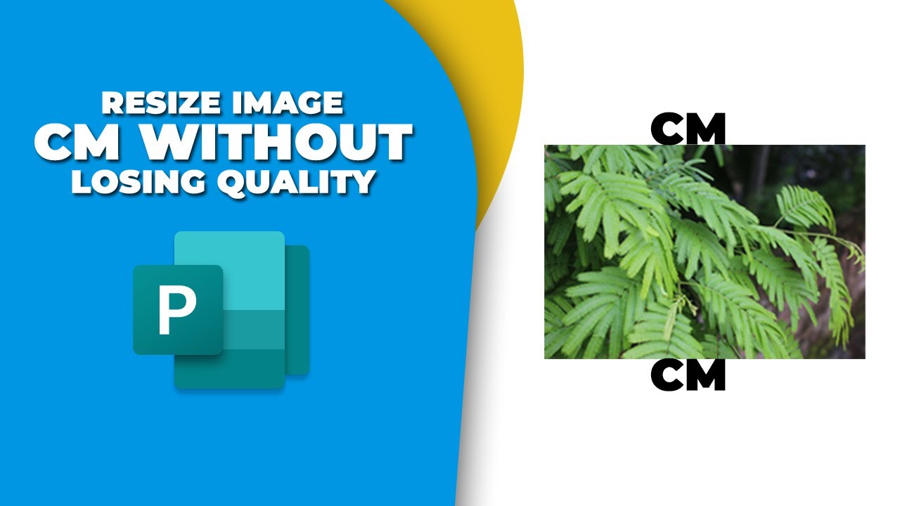 How to resize image in Publisher in cm without losing quality - YouTube
