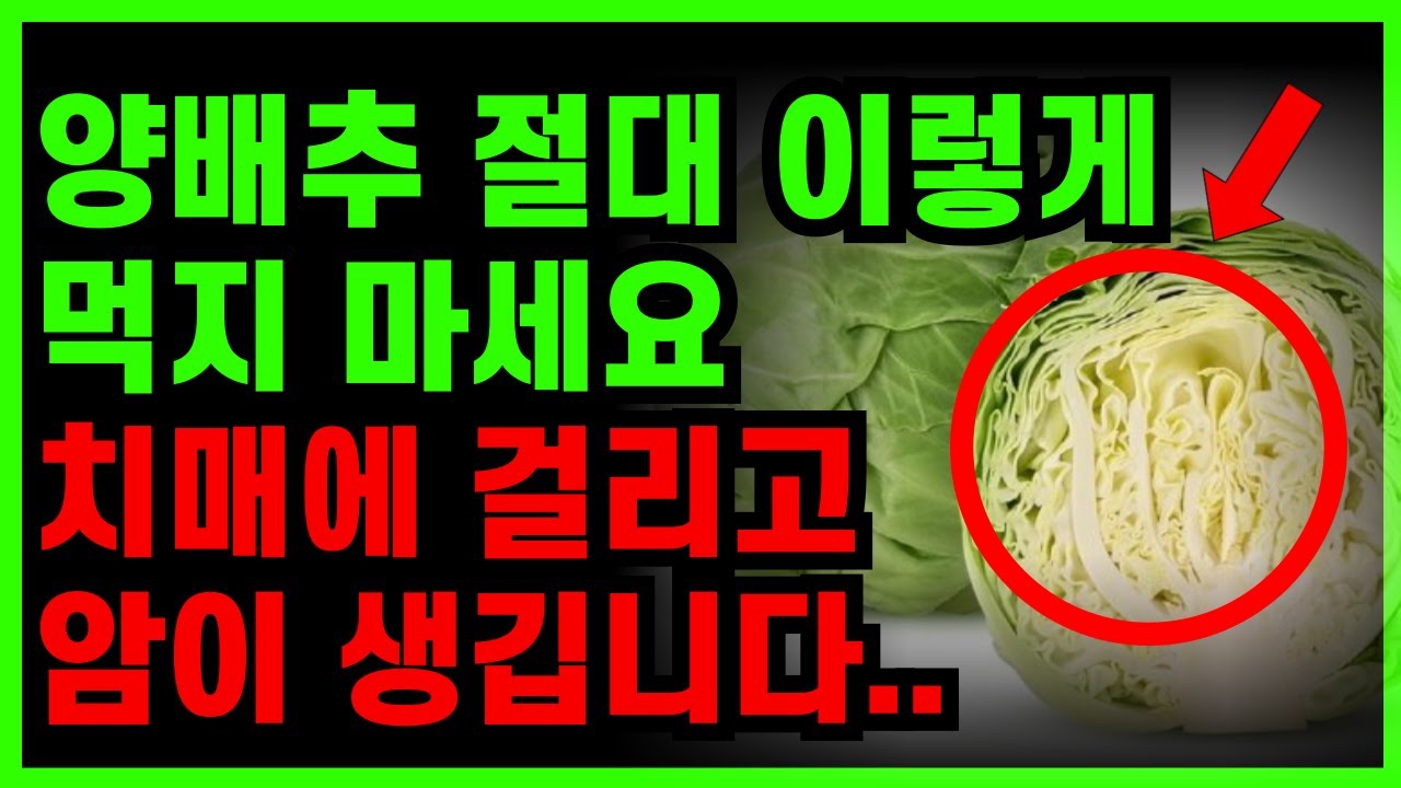 양배추 절대로 이렇게 먹지마세요 몸에 종양이 생기고 부작용을 일으킵니다 양배추와 같이 먹으면 안되는 음식과 양배추 효능