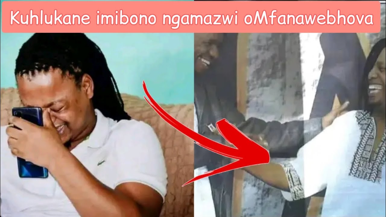 ufile zinhlamba ozalwa iBhova emva kokukhuluma lamazwi zizwele☝️☝️☝️ ...