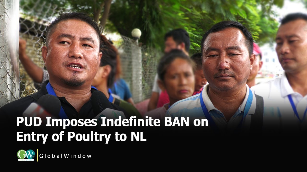 PUD IMPOSES INDEFINITE BAN ON ENTRY OF POULTRY TO NL - YouTube