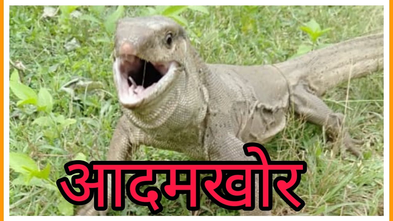 आदमखोर के नाम से जाना जाता है - YouTube