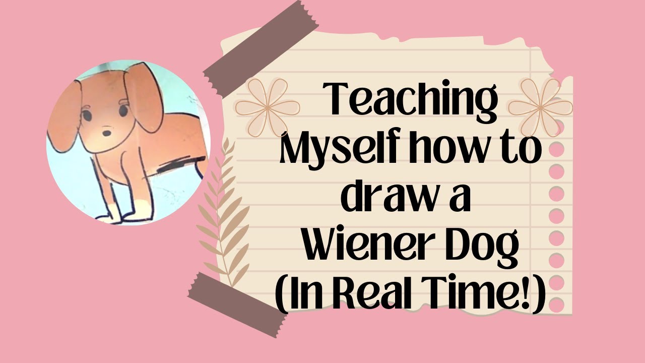 Teaching Myself How To Draw a Wiener Dog. In Real-Time! Draw with Me ...