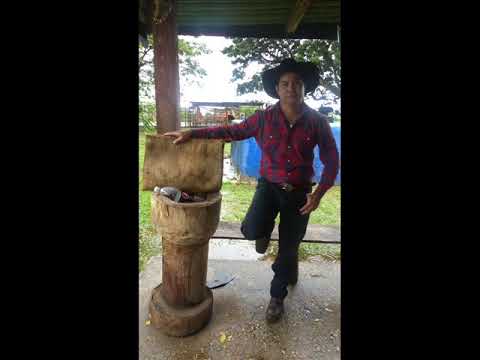 ANGEL RIVAS - NI QUE ME METAN CIZAÑA