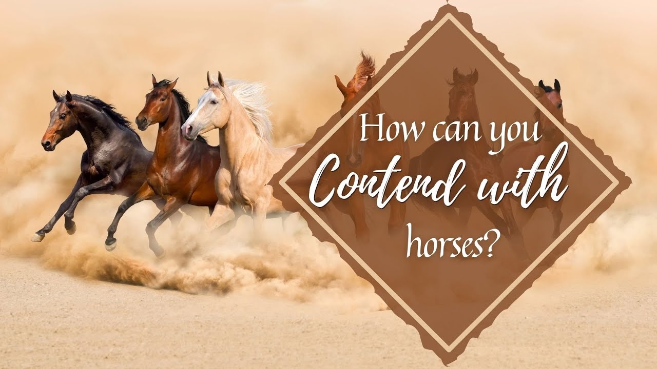how-can-you-contend-with-horses-youtube