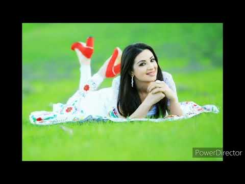 یوسف رحیمی تازه