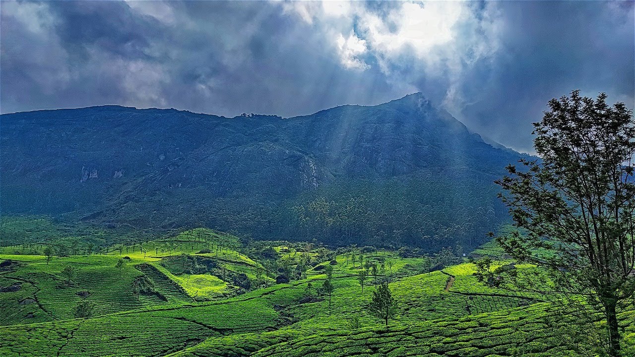 Exploring Munnar's Breathtaking Beauty on Two Wheels: Ultimate ...