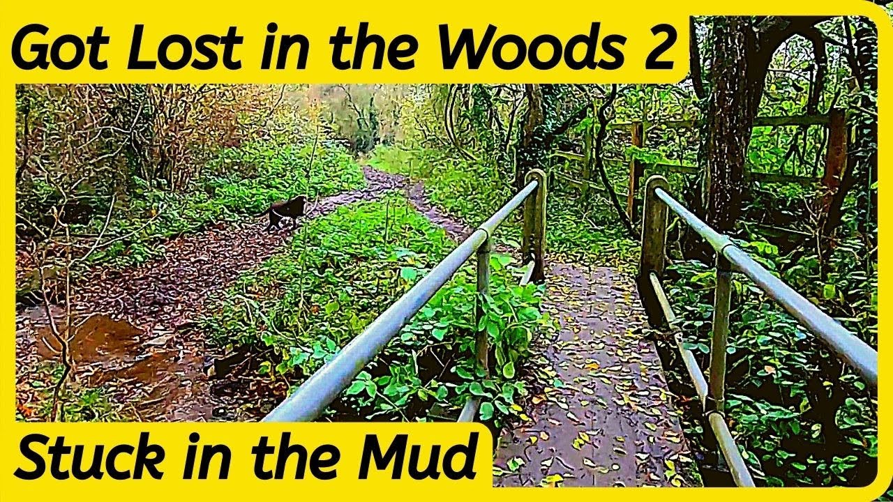 English Country Walk Vlog (National Forest, Leicestershire) ASMR - YouTube