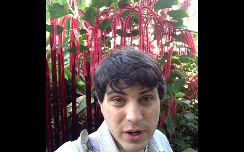 6 Second Stories for Learning (2014) - YouTube