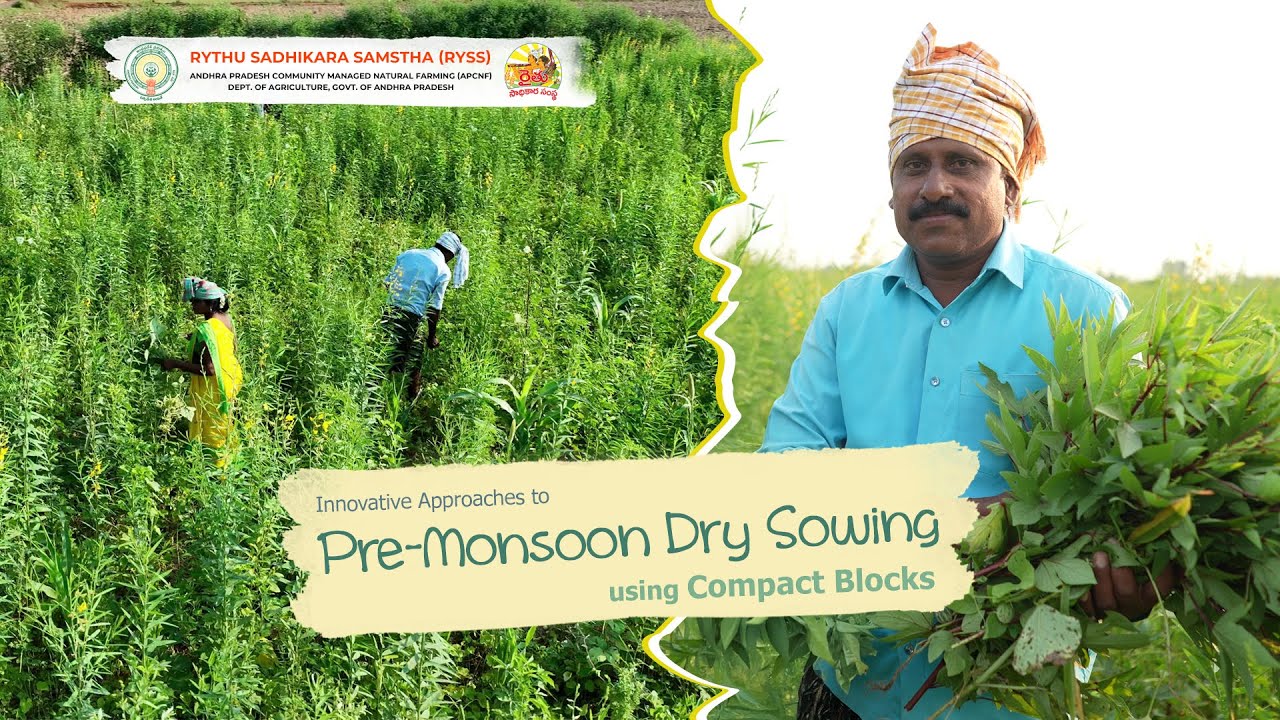 Innovative Approaches to Pre-Monsoon Dry Sowing using Compact Blocks ...
