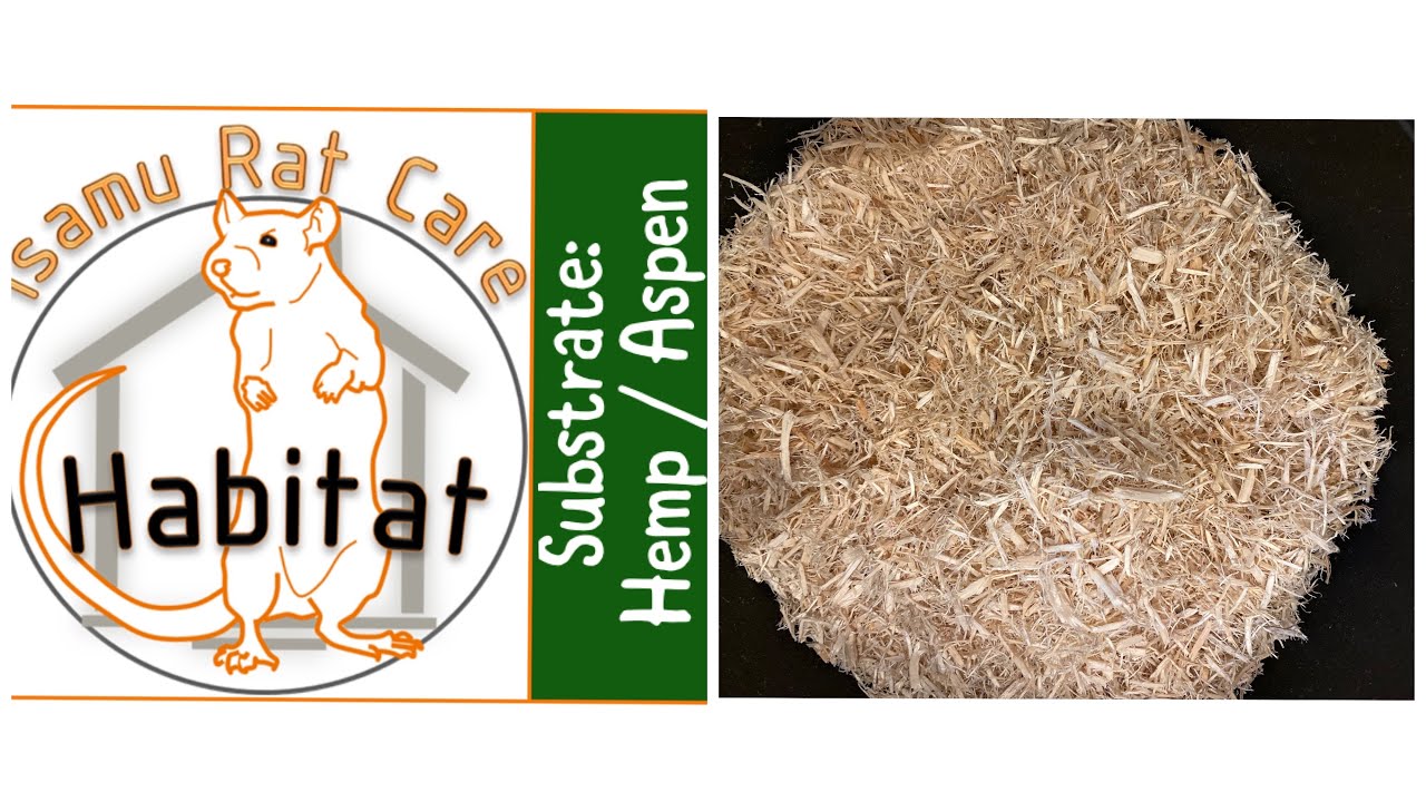Substrate: Hemp / Aspen - YouTube