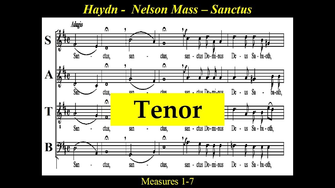 Haydn - Mass in D minor - Nelson Mass - 4 - Sanctus - Tenor - YouTube