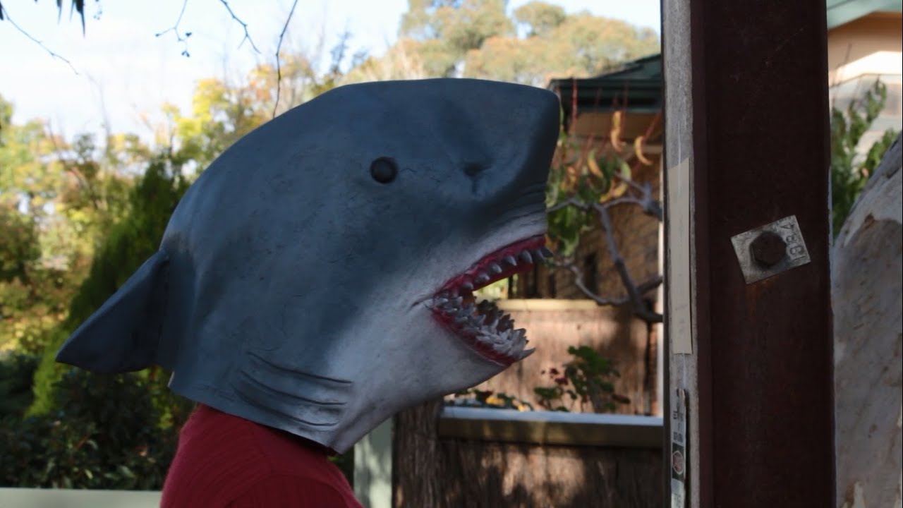 Sad Shark - YouTube