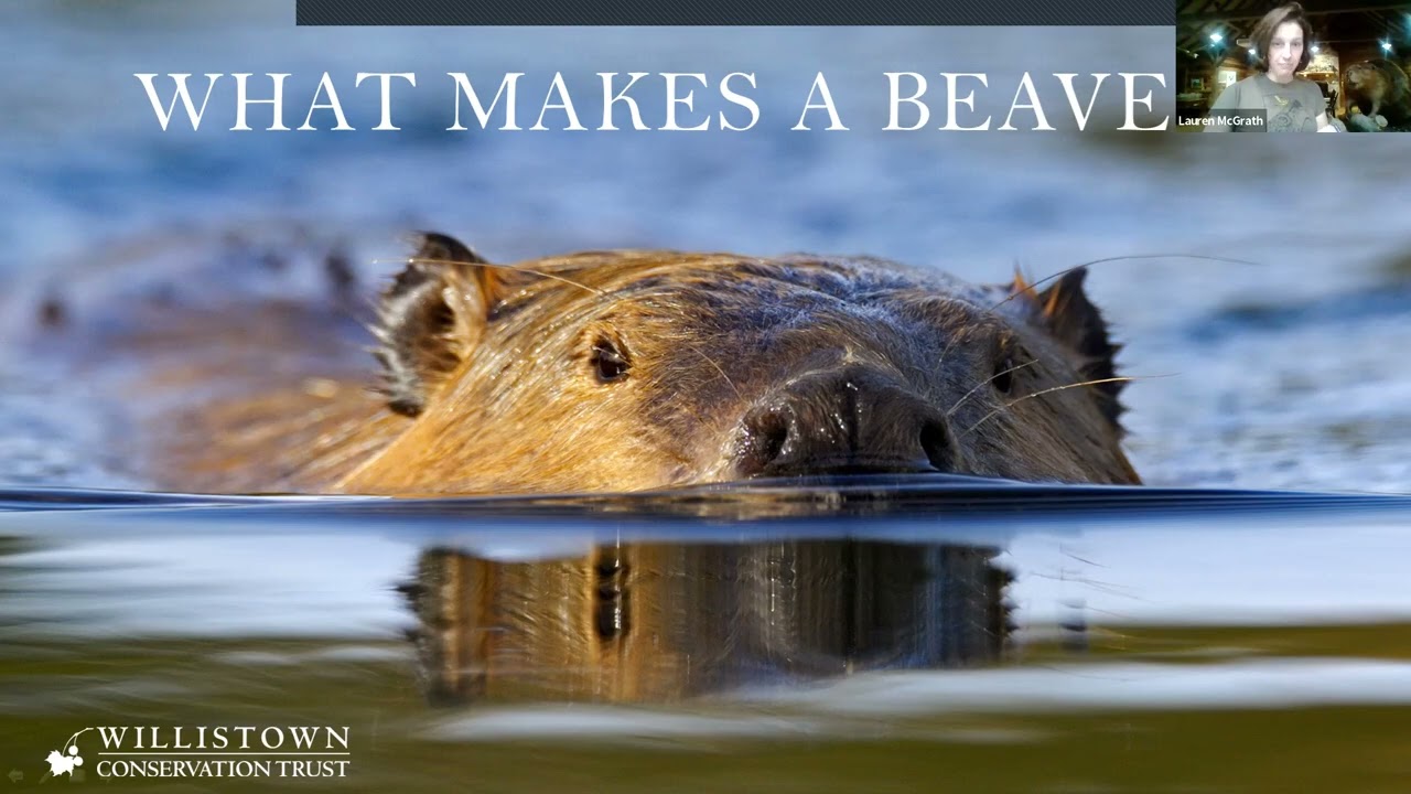 Beaver Talk - YouTube