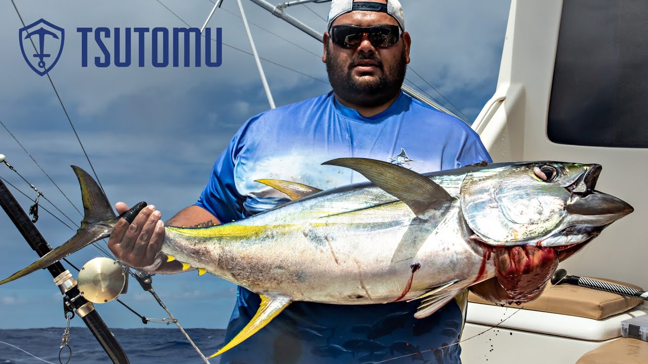 Yellowfin Tuna Live Baiting - Day Trip on a Sport Fishing Yacht - YouTube