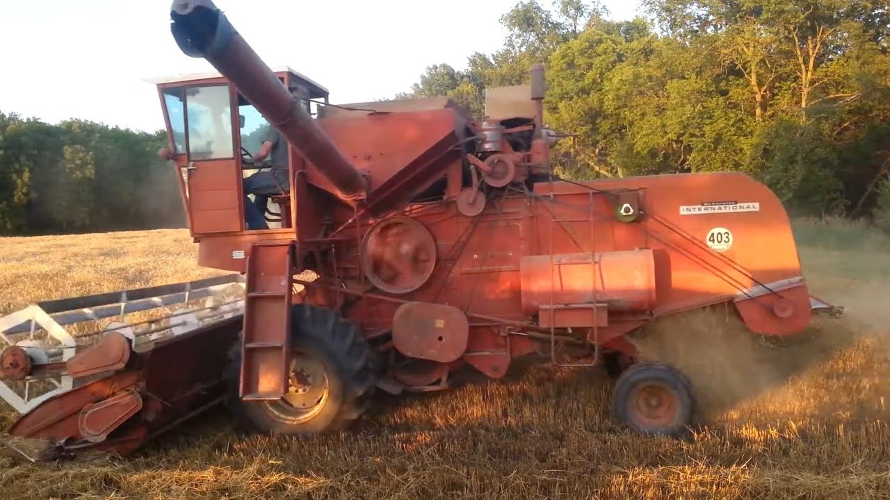 International 403 combine cutting wheat - YouTube
