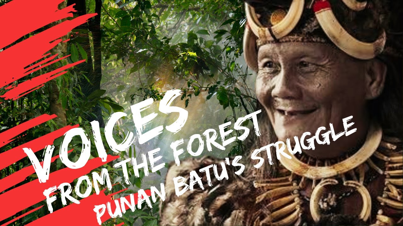 Voices from the Forest: The Punan Batu Tribe's Struggle for Cultural ...
