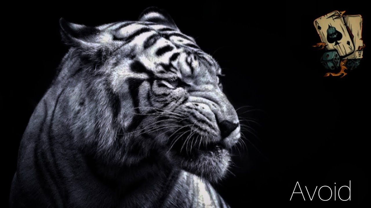 AVOID(Official Audio) ARMAN KANG - YouTube