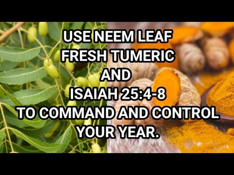 How To Use Neem (Dogoyaro) Leaf, Tumeric and Isaiah 25:4-8, to Command ...