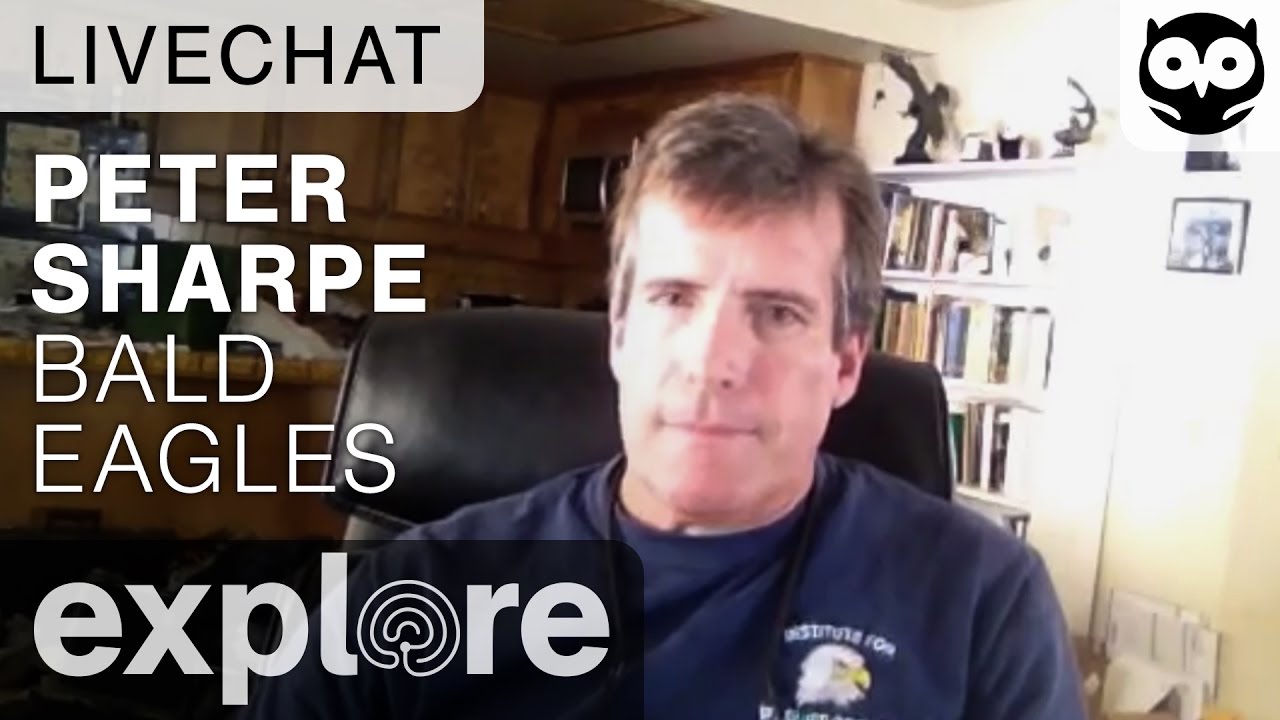 Earth Day With Peter Sharpe - Bald Eagles - Live Chat - YouTube