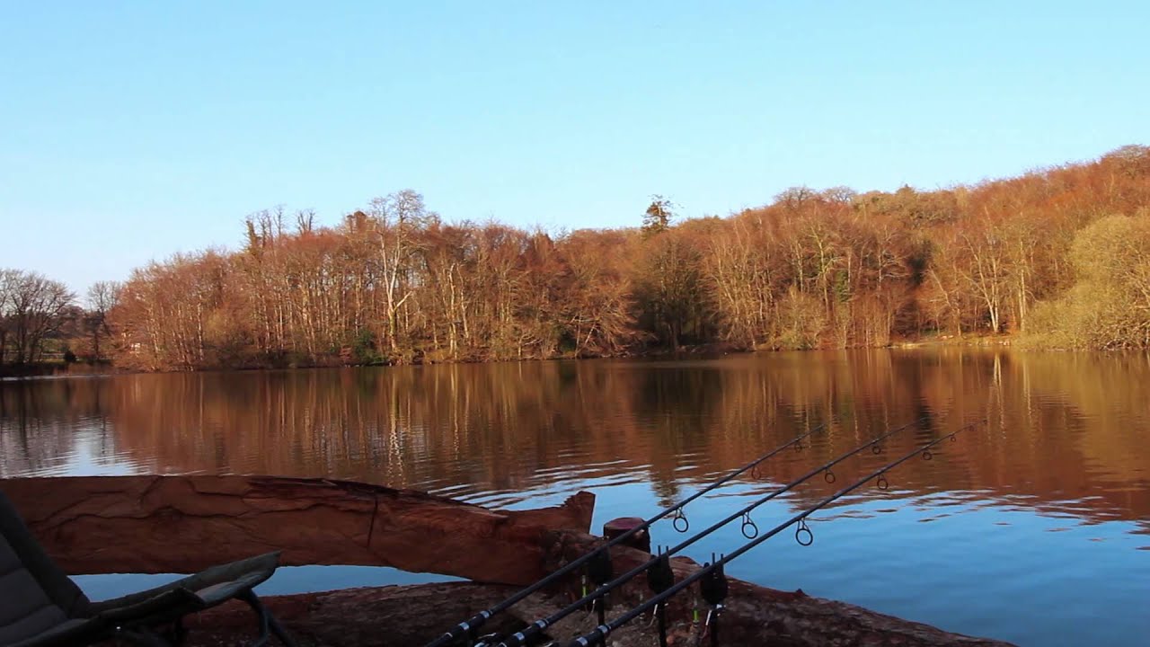 Taska TV: Irish Carp Fishing - Gerry Heapes - YouTube