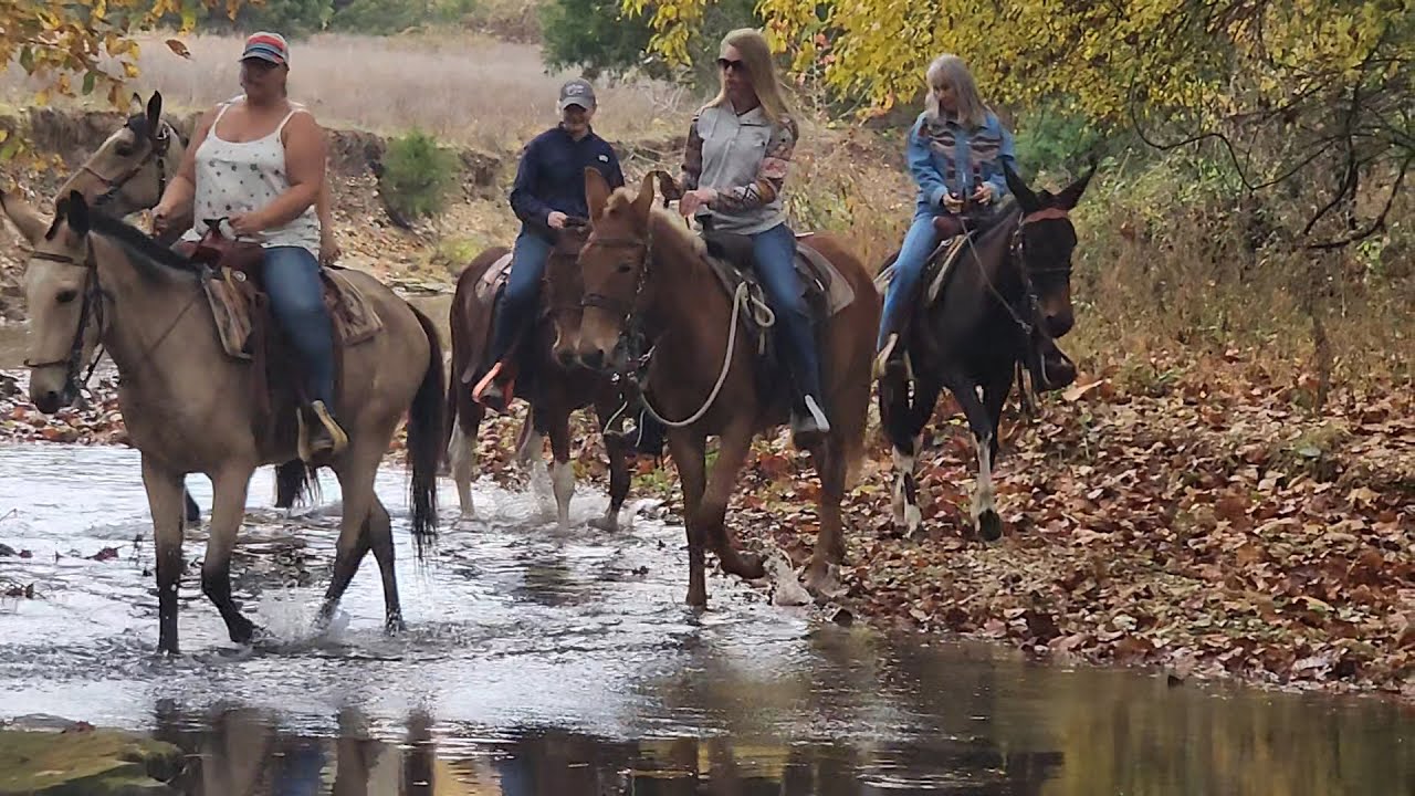 Fall Ride in the Ozarks - YouTube