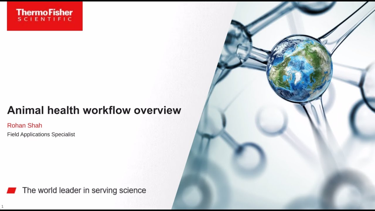 Animal Health Workflow Overview - Live Q&A - YouTube