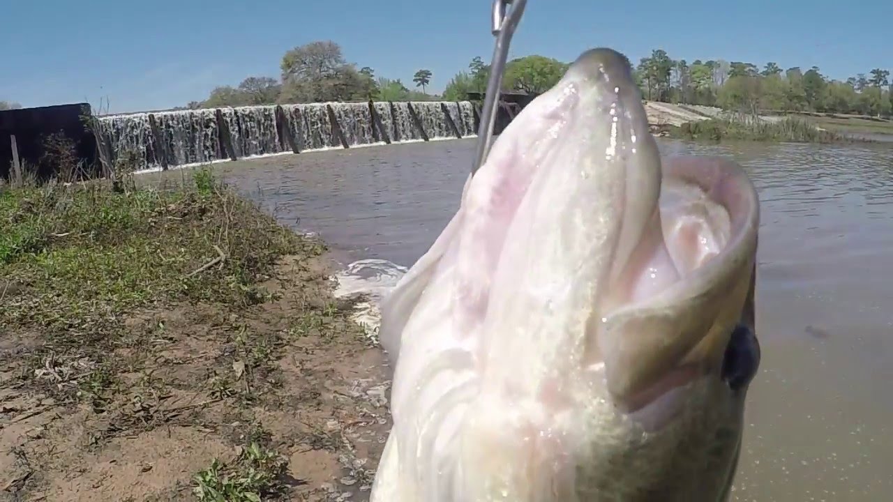 Bass Fishing - Langan (Municipal) Park - Mobile AL - YouTube