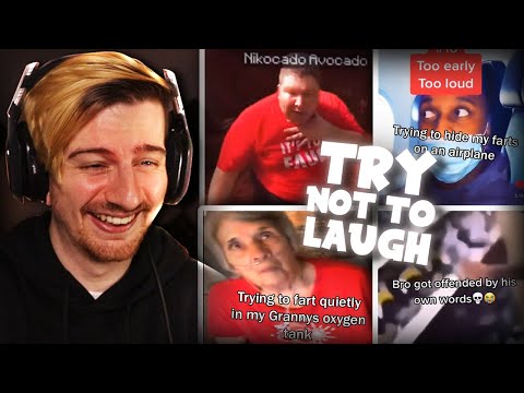 THE FUNNIEST TIKTOKS I HAVE SEEN. TEARS AGAIN. | Try Not To Laugh (TikTok Edition)