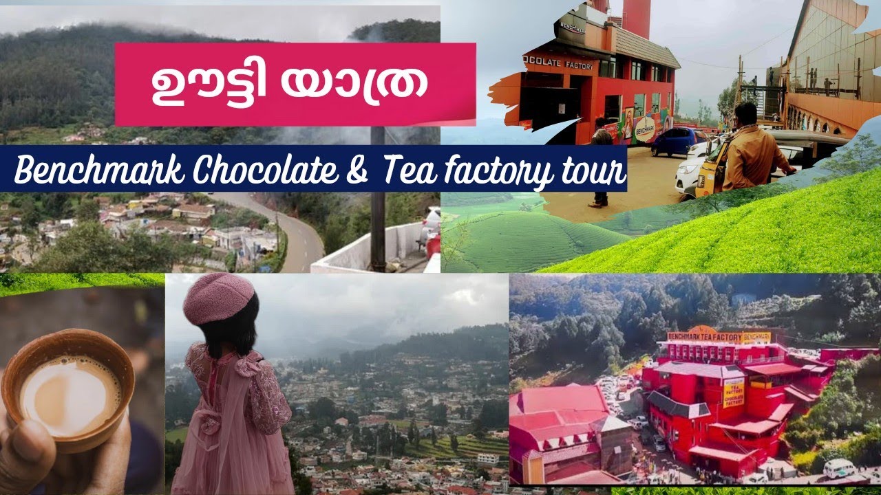 Chocolate & Tea Factory Tour || manufacturer _ Benchmark (museum ...