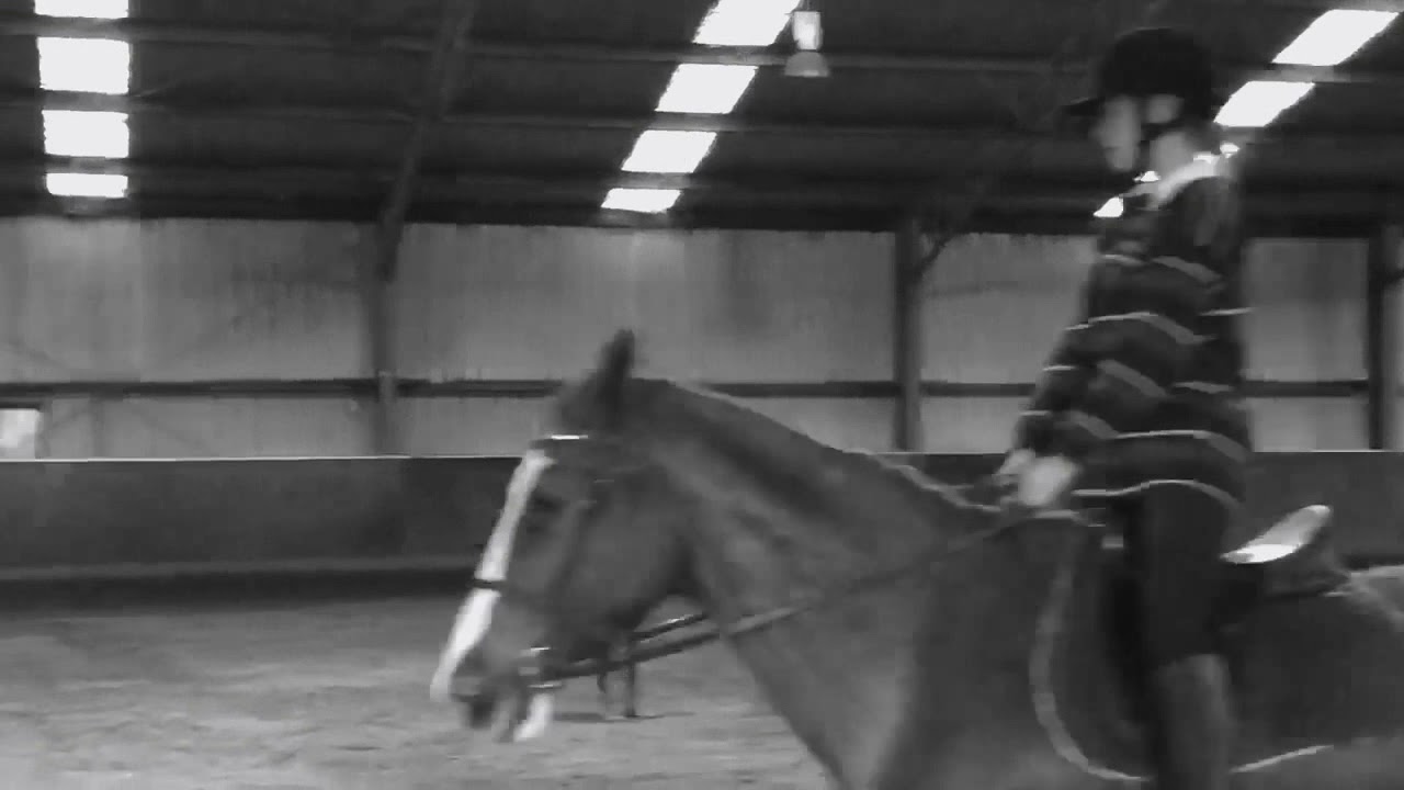 My first canter in 2 years! (Don’t judge) - YouTube