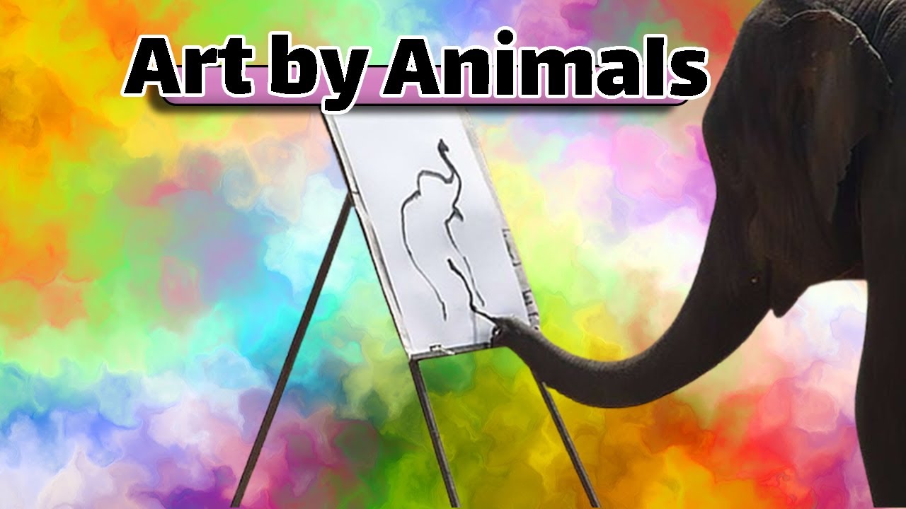 Art by Animals UCL - Lasko Cave - YouTube