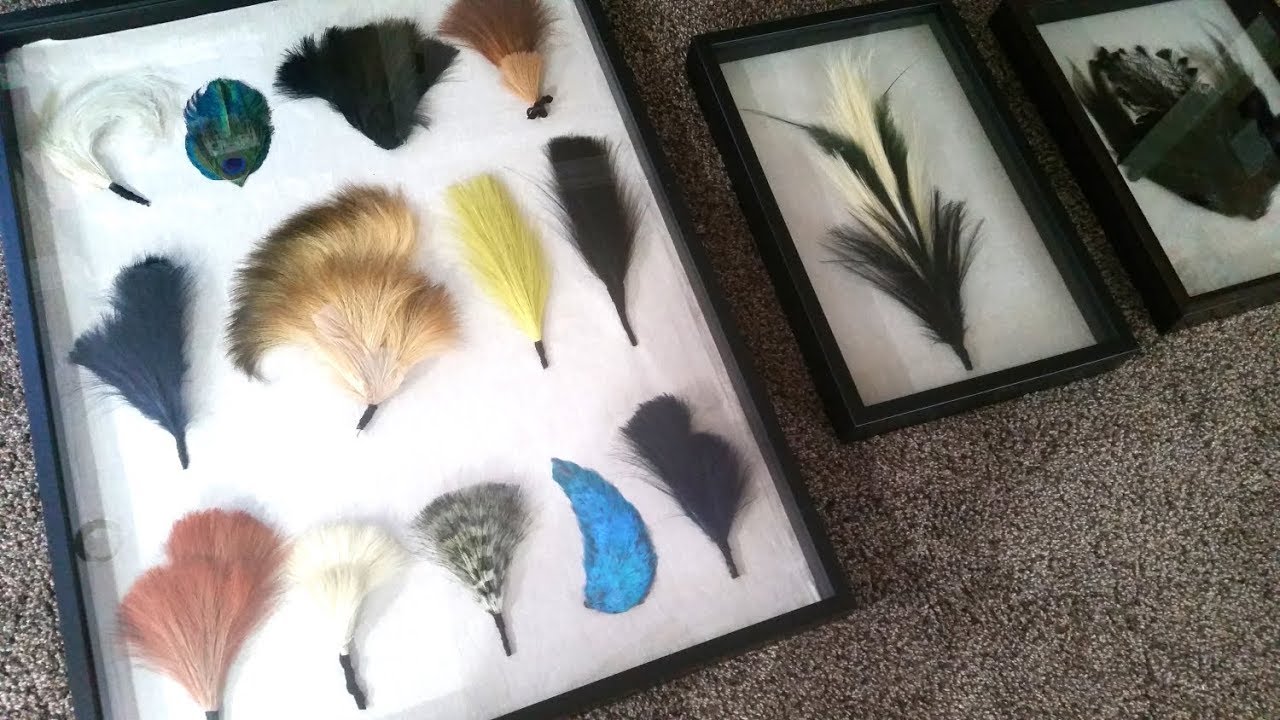 Display Collections in Shadow Boxes to Create Home Decor Art - YouTube