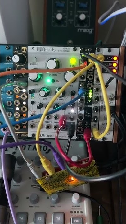 Mutable Instruments Beads w/ Strymon Starlab, w/ Divkid Ochd in a 60hp Moog Case #shorts - YouTube