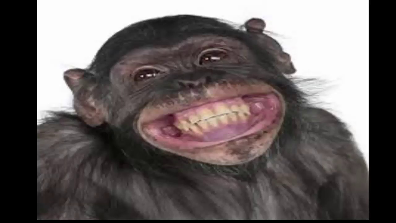 Zara Gaming RPG - Lexa VS Vux - YouTube