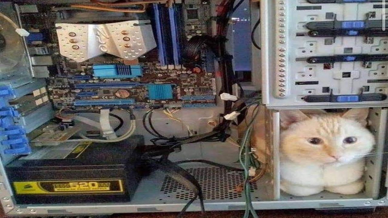 Funny Memes Compilation 136 - YouTube