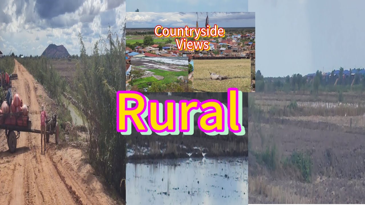 Rural View Via Street | Best animals' lives and people living in a ...